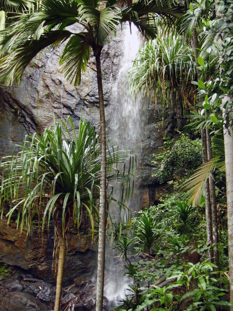Waterfalls in Seychelles - The Cascading Beauties in the Paradise