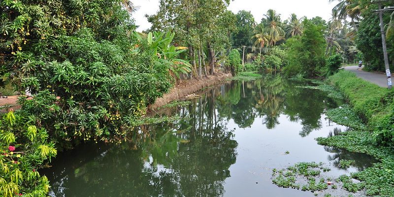 4 Days In Kerala: A Travel Guide To Capture The Essence Of Kerala