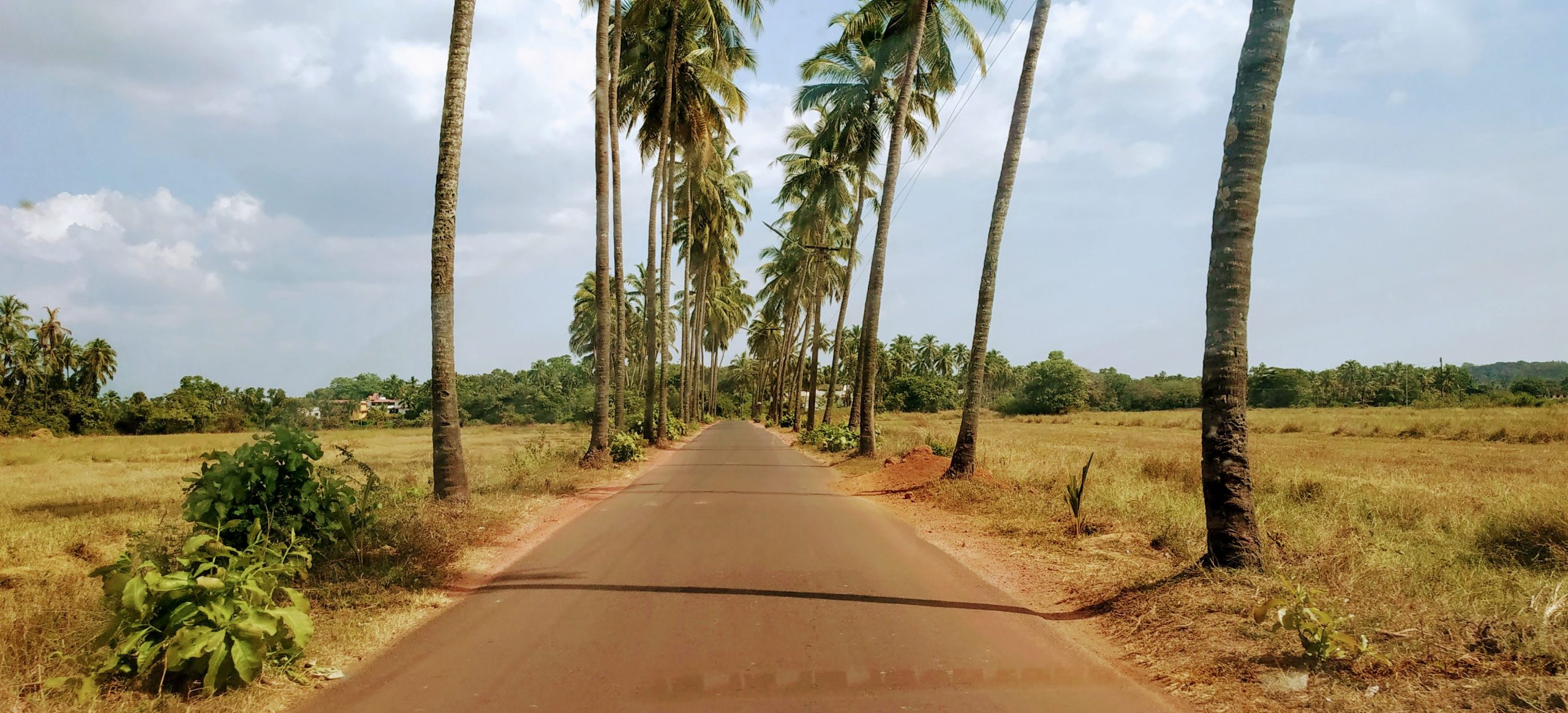 Goa 4-day Itinerary- Around the Beach City