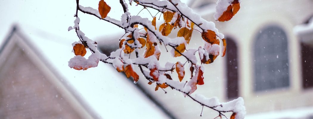 Phoenix in Winter! Explore the top 8 best things to do